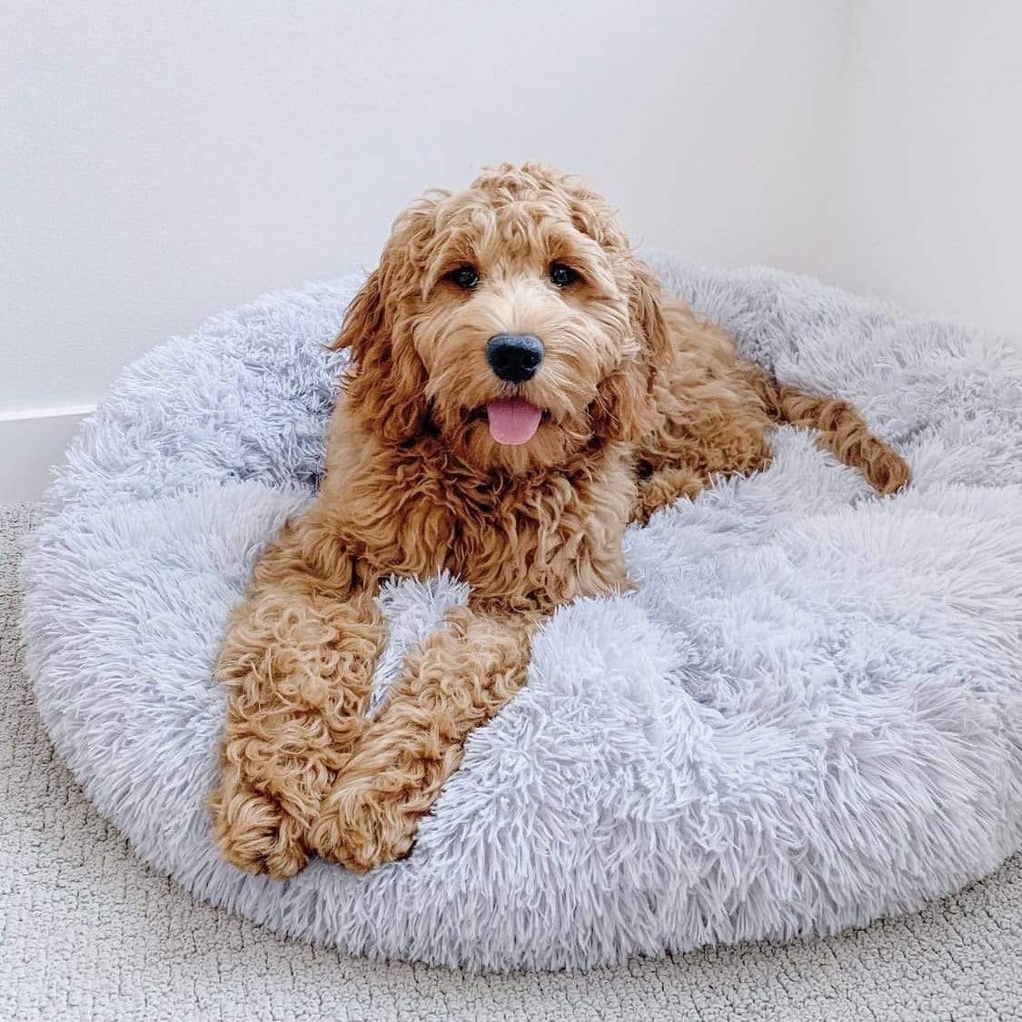 Calming Dog Bed – Tail Wag Treasures